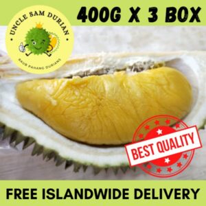 Types Of Durians In Singapore: 15 Yummy Liu Lian Variants
