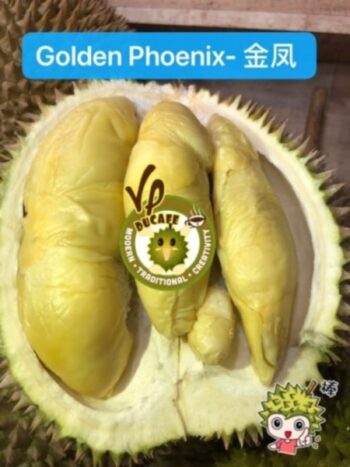 Types Of Durians In Singapore: 15 Yummy Liu Lian Variants