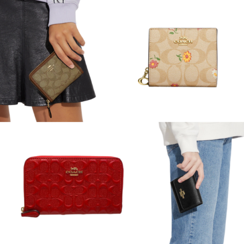 13 Best Ladies Wallet Brands In Singapore For All Your Cash