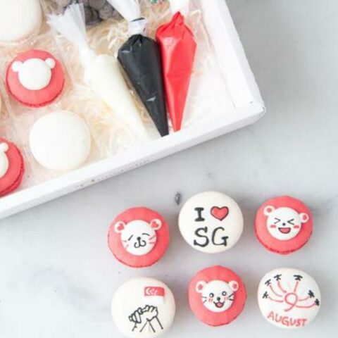 Preschool National Day Craft Ideas Singapore: 15 Projects For 2024