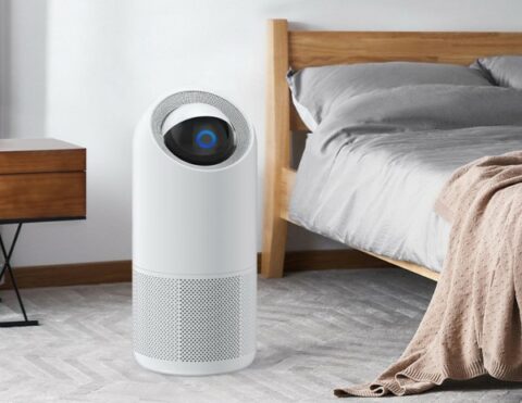 13 Best Air Purifiers in Singapore For Better Health